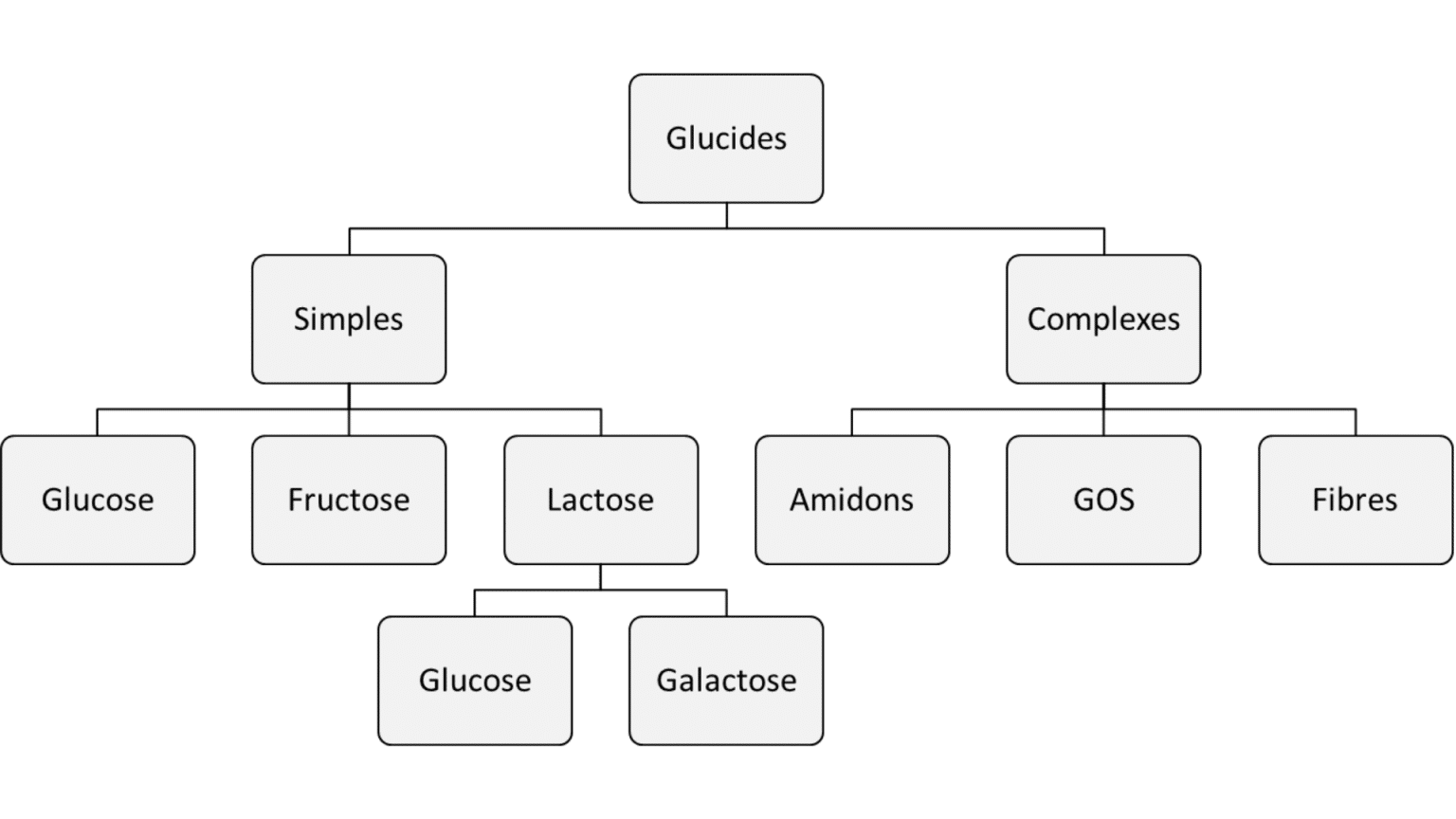 Faut-il couper les glucides de notre alimentation ? | Caroline Cloutier ...